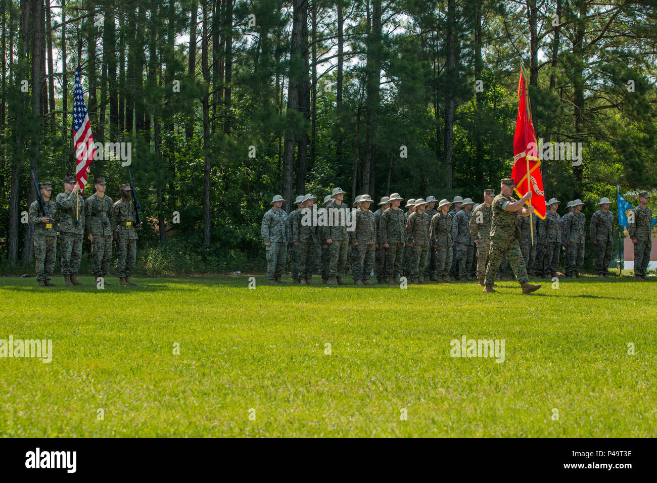 Judith reid hi-res stock photography and images - Alamy