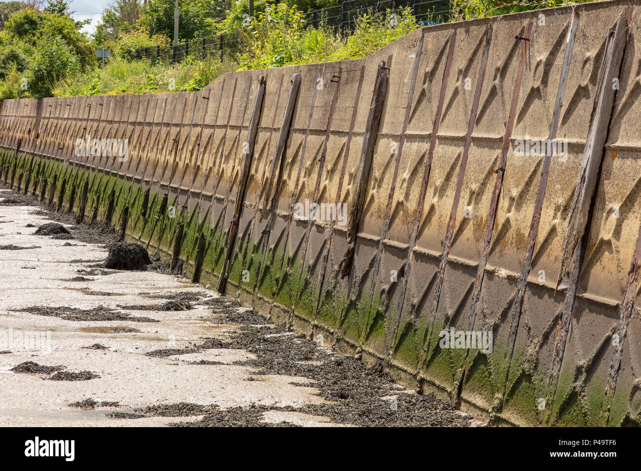 River Bank Retaining Wall