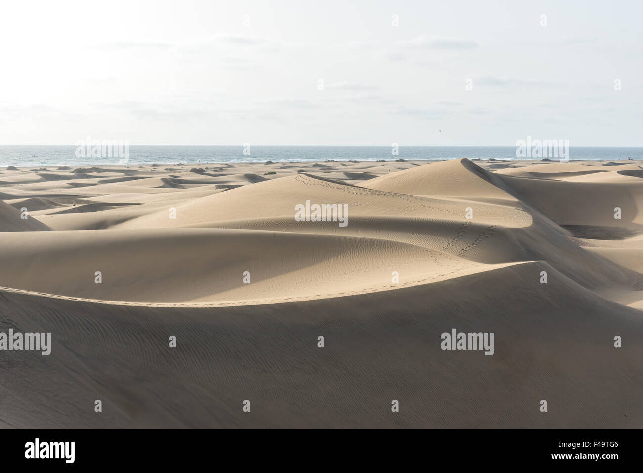 Desert and sea - beautiful landscape with sand dunes Stock Photo - Alamy
