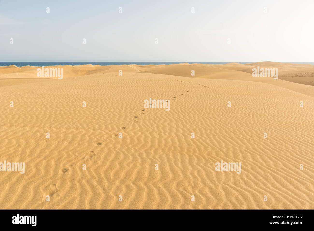 Desert - beautiful landscape with sand dunes Stock Photo - Alamy