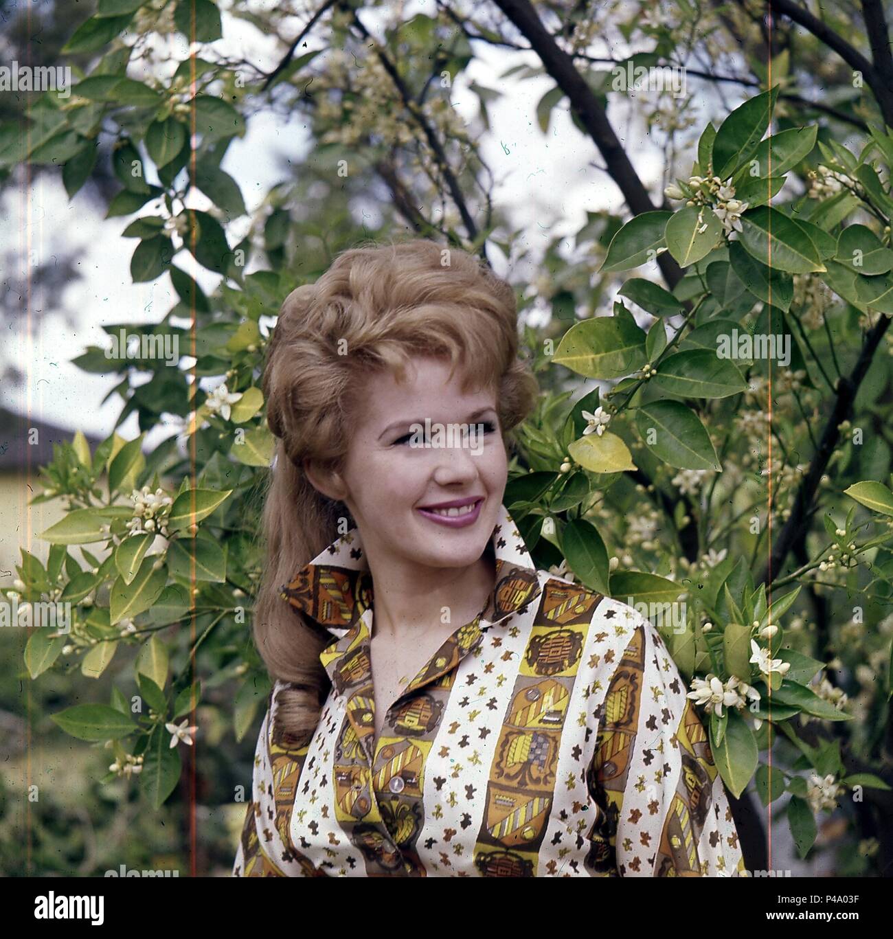 Stars: CONNIE STEVENS Stock Photo - Alamy