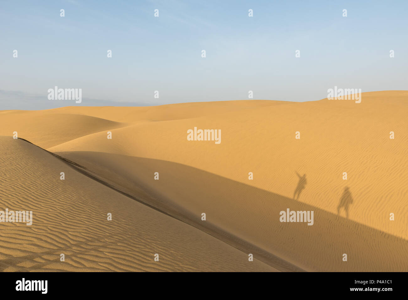 Shadow of Couple in sand dunes in desert Stock Photo - Alamy