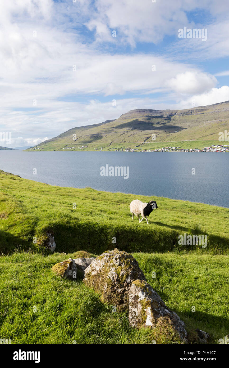 Skipanes hi-res stock photography and images - Alamy