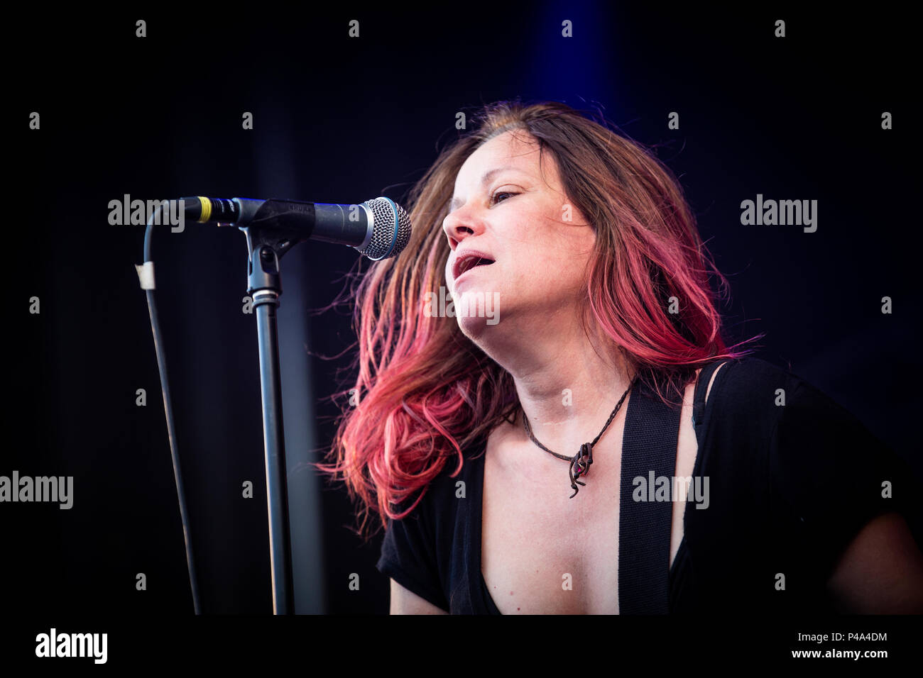 Jennifer finch hi-res stock photography and images - Alamy