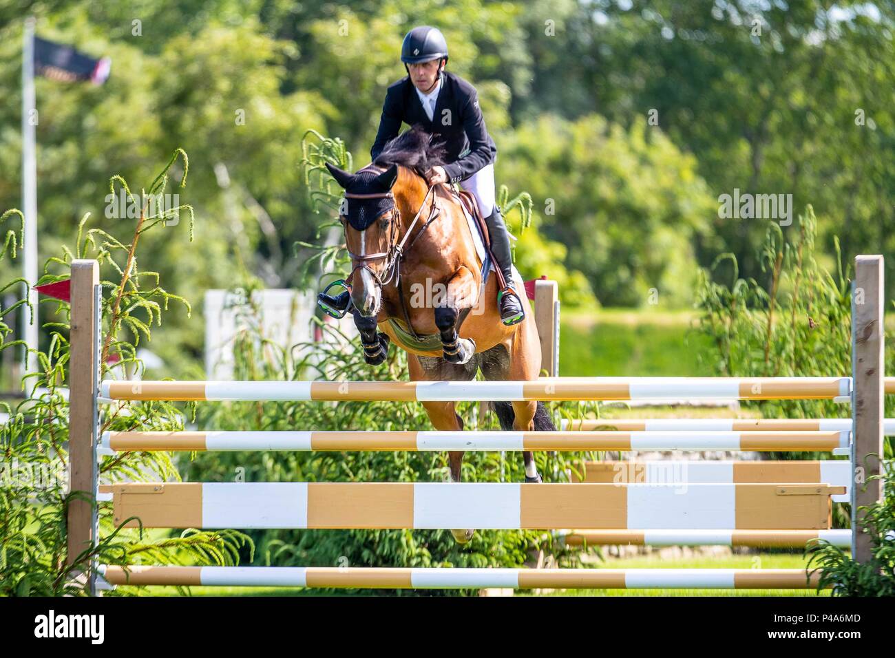 Grade 2 winner hi-res stock photography and images - Alamy