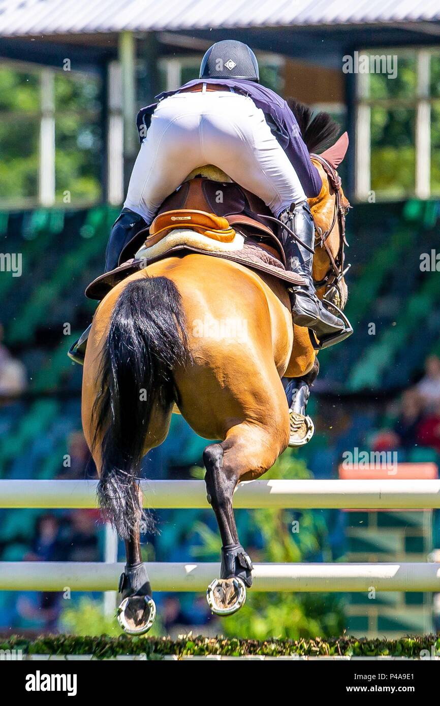 2018 winner joe hi-res stock photography and images - Alamy