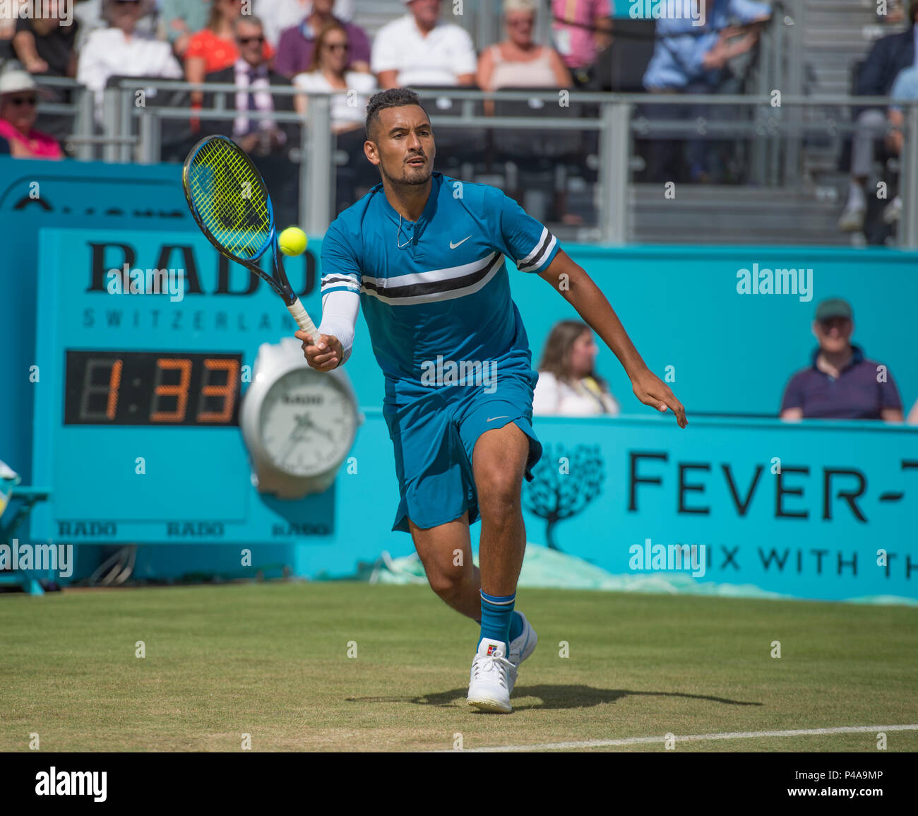 Australian fever tree hi-res stock photography and images - Alamy