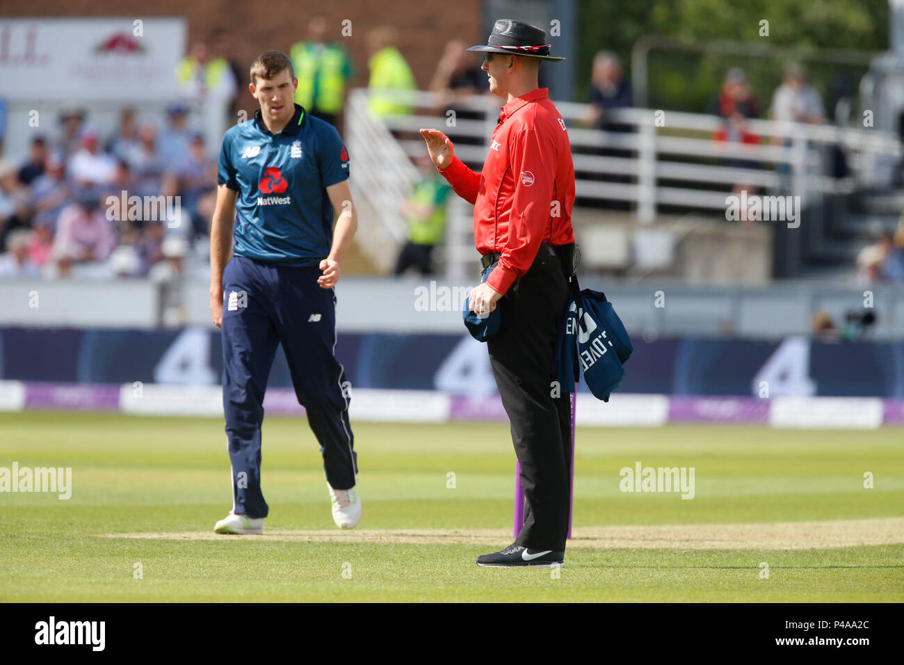 Michael gough umpire hi-res stock photography and images - Alamy