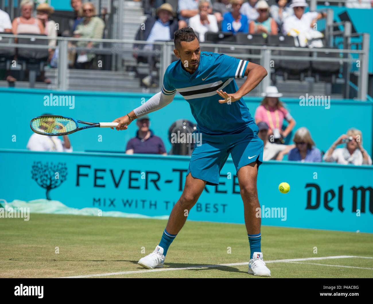 Australian fever tree hi-res stock photography and images - Alamy