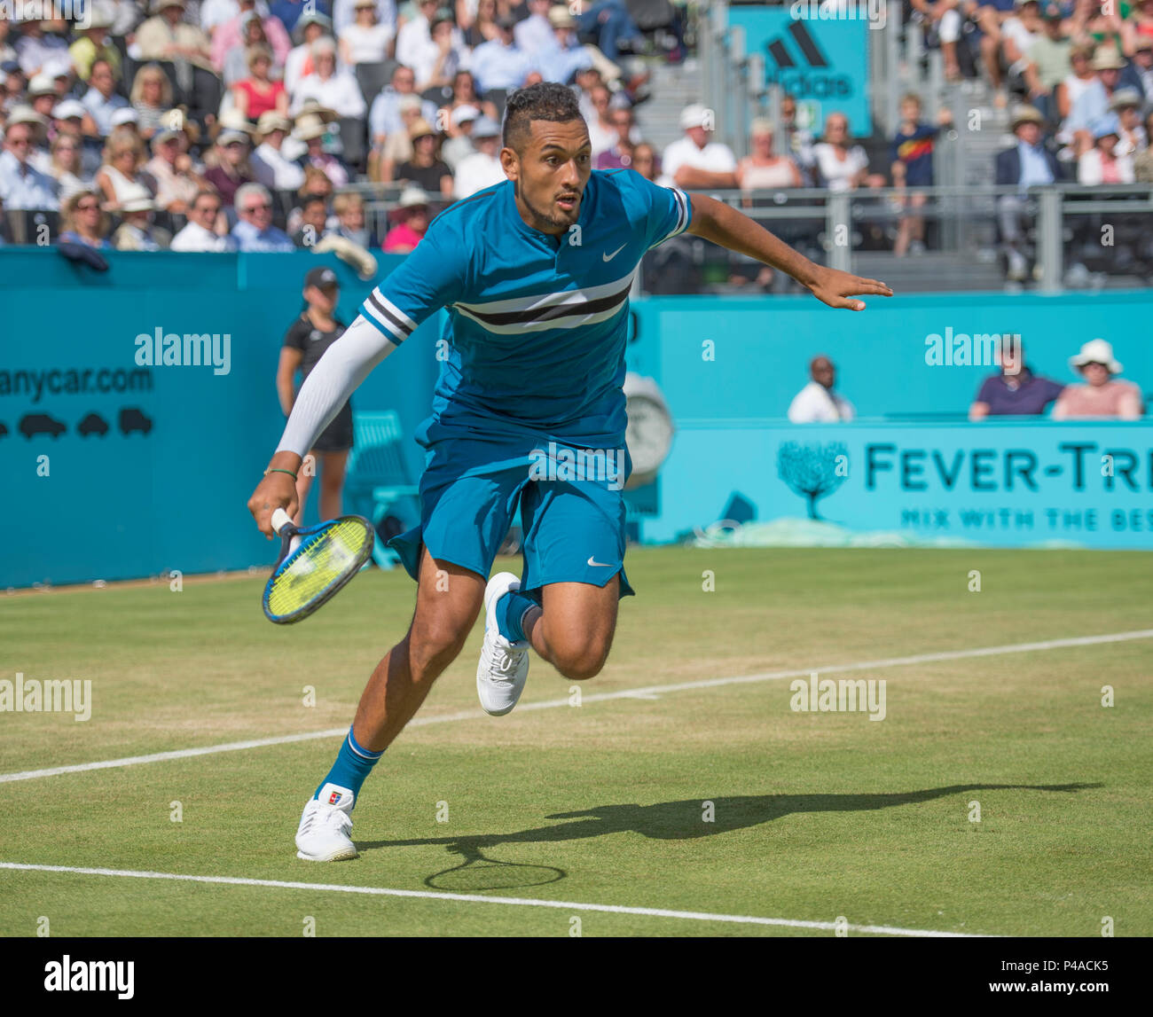 Australian fever tree hi-res stock photography and images - Alamy