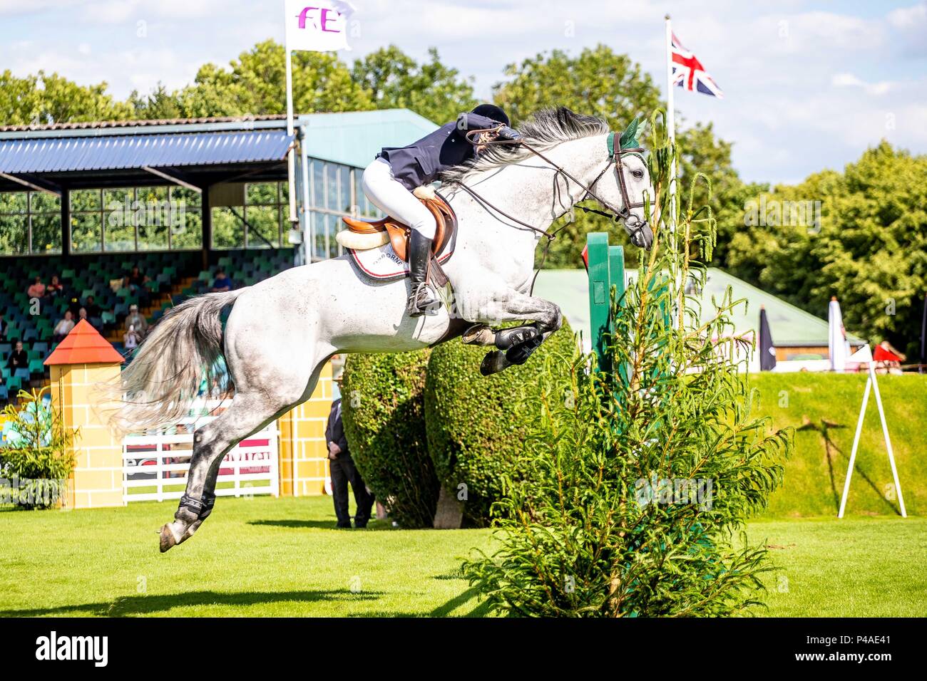 2018 tracy priest hi-res stock photography and images - Alamy