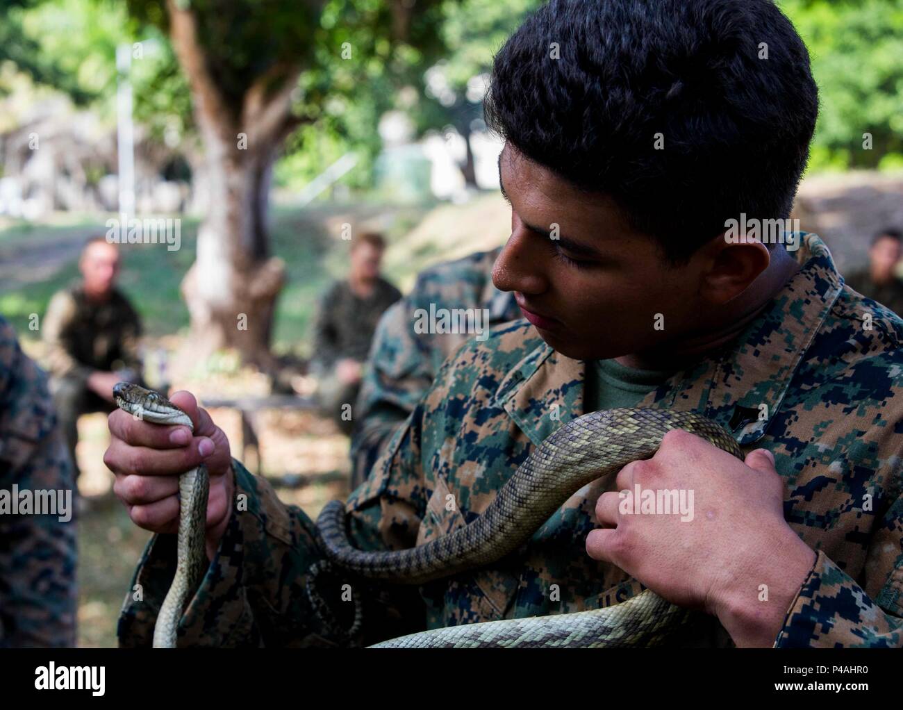 U.S. Marines with Task Force Koa Moana and the Papua New Guinea Defence ...