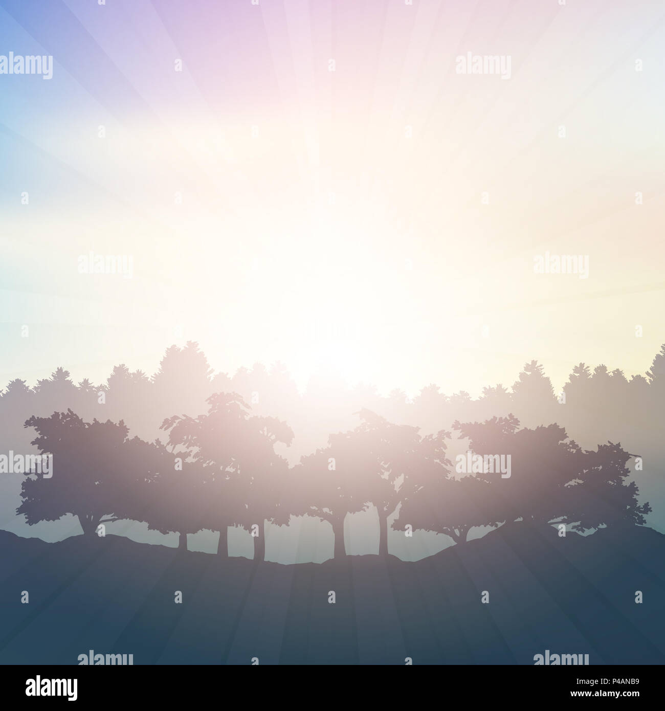 Silhouette of trees in the countryside Stock Photo - Alamy