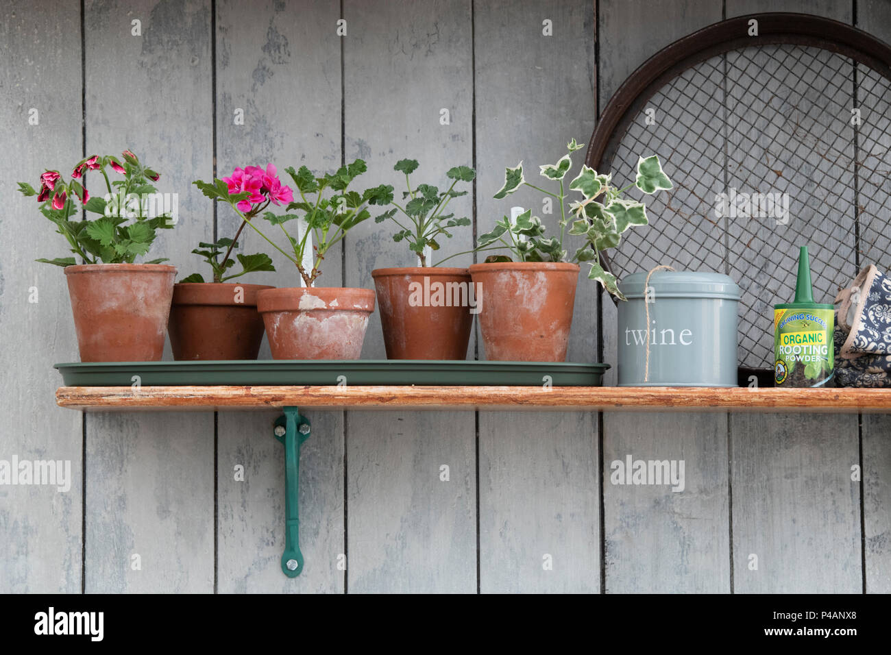 Flower pots and gardening objects on shelves at a flower show. UK Stock ...