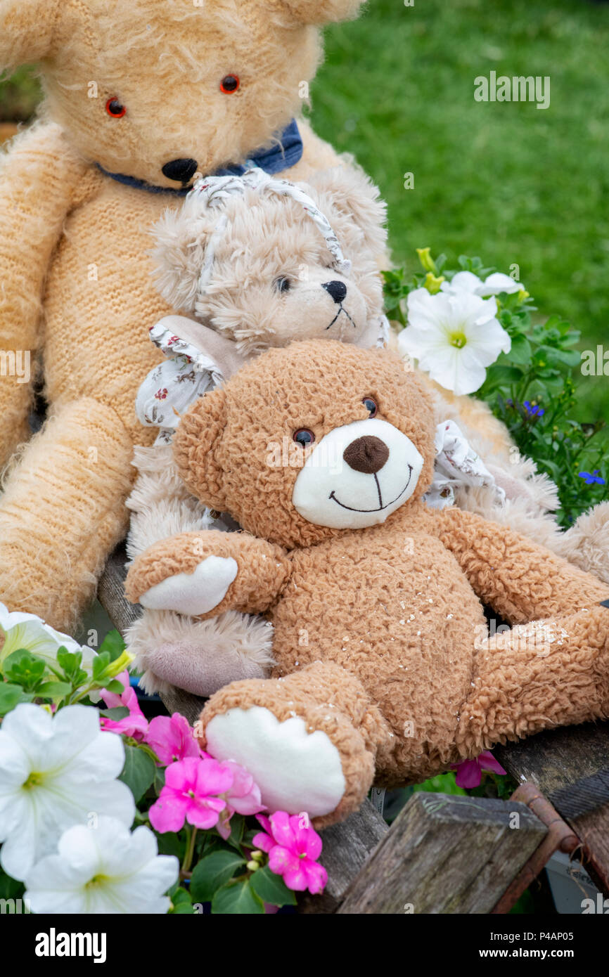 Trilulilu Teddy Bears