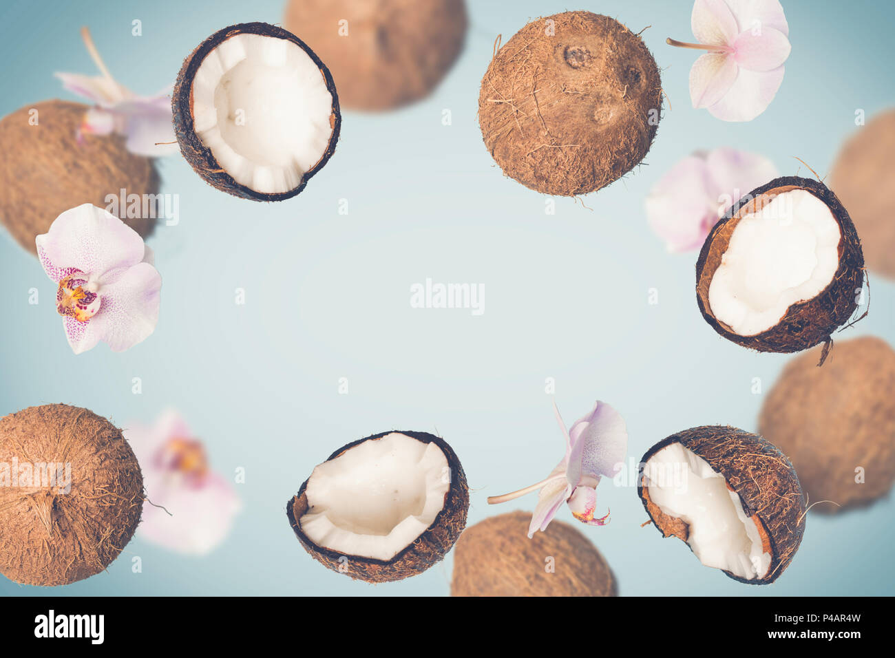 Blue tropical summer background with falling coconuts and orchids ...