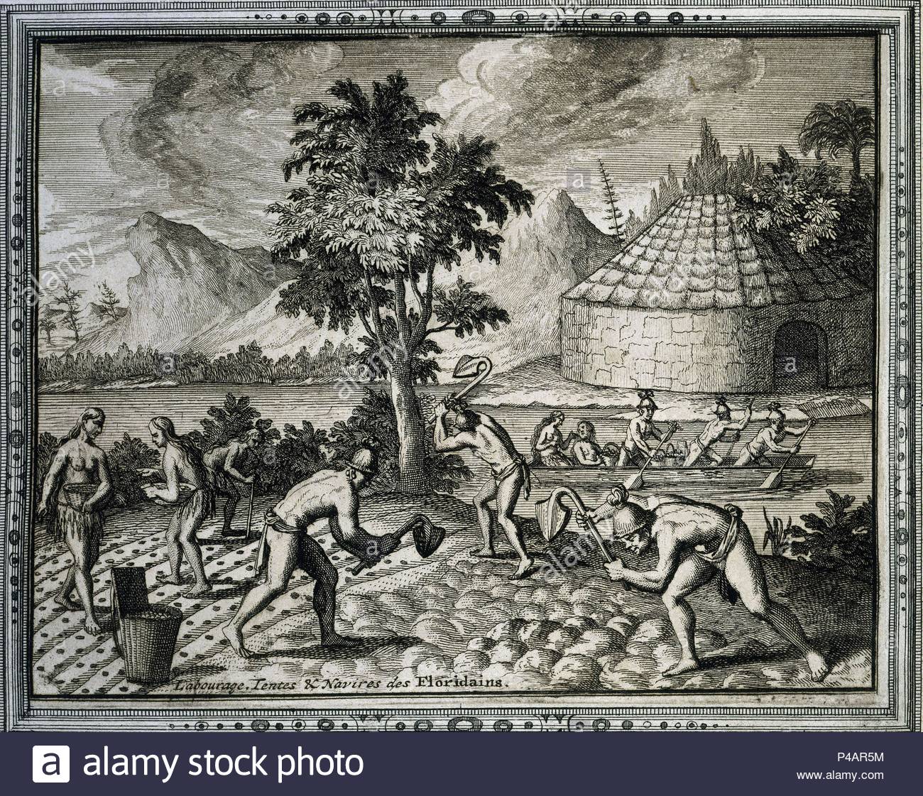 Native American Digging Stock Photos & Native American Digging Stock ...