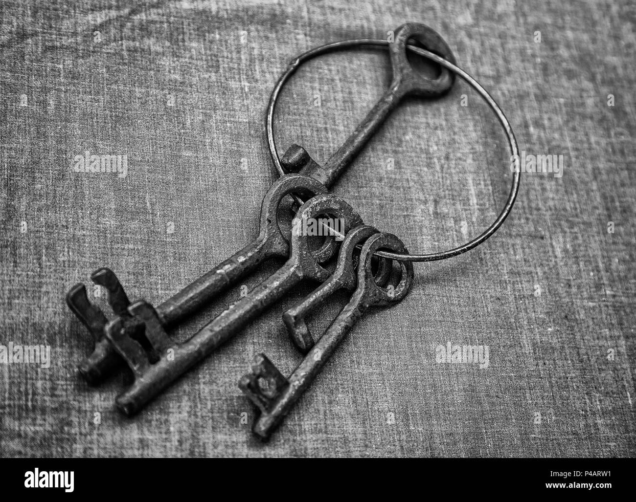 Metallic locks Black and White Stock Photos & Images - Alamy