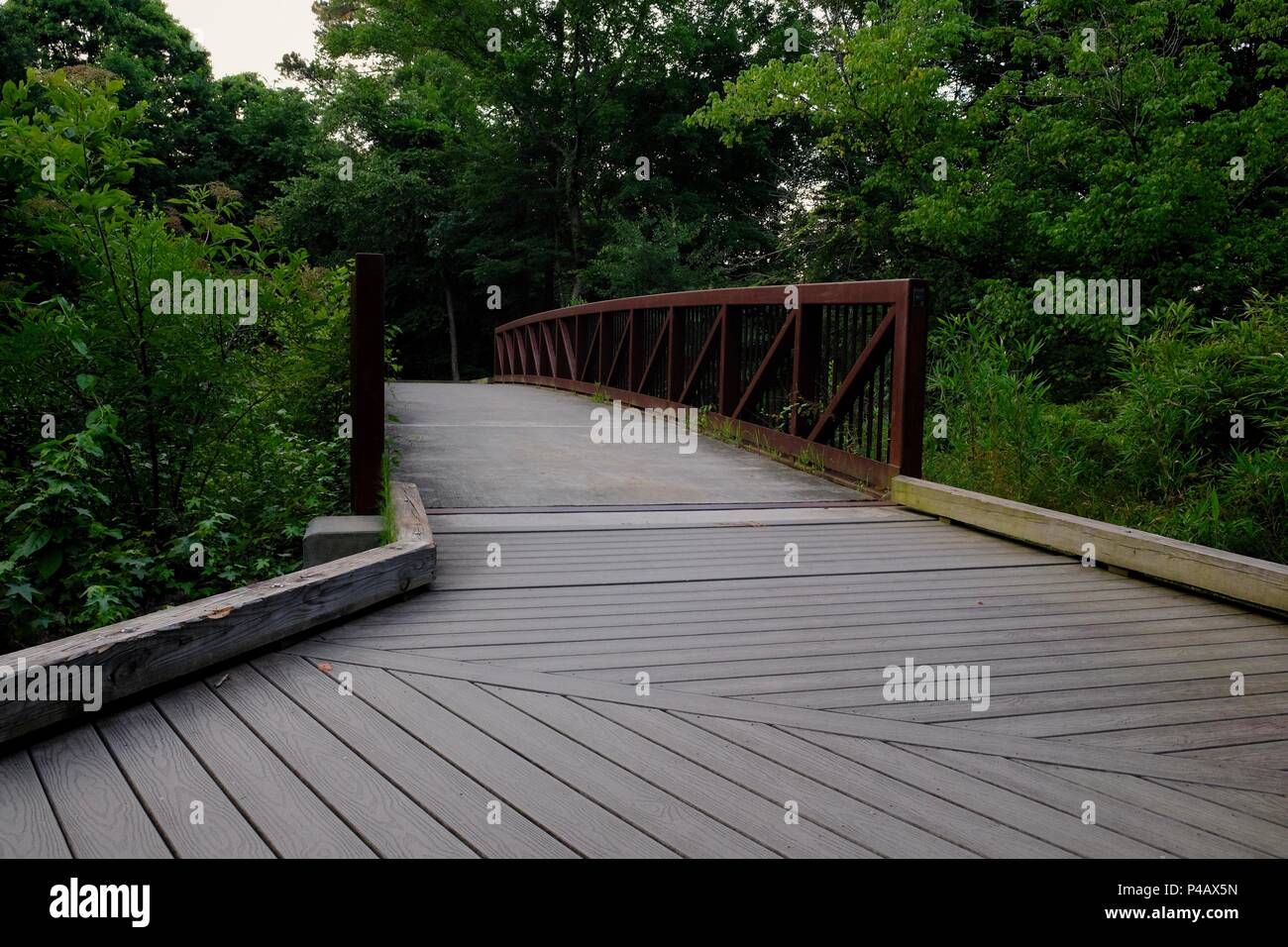 Raleigh north carolina trail hi-res stock photography and images - Alamy