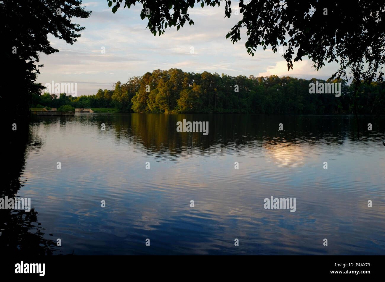 Lake Raleigh early in the morning during summer in Raleigh North ...