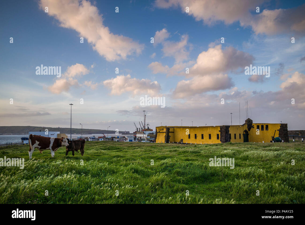 Praia Da Vitória High Resolution Stock Photography and Images - Alamy