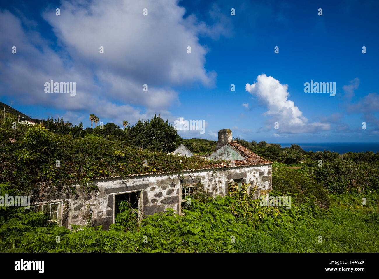 Portugal, Azores, Faial Island, Norte Pequeno, ruins of building ...