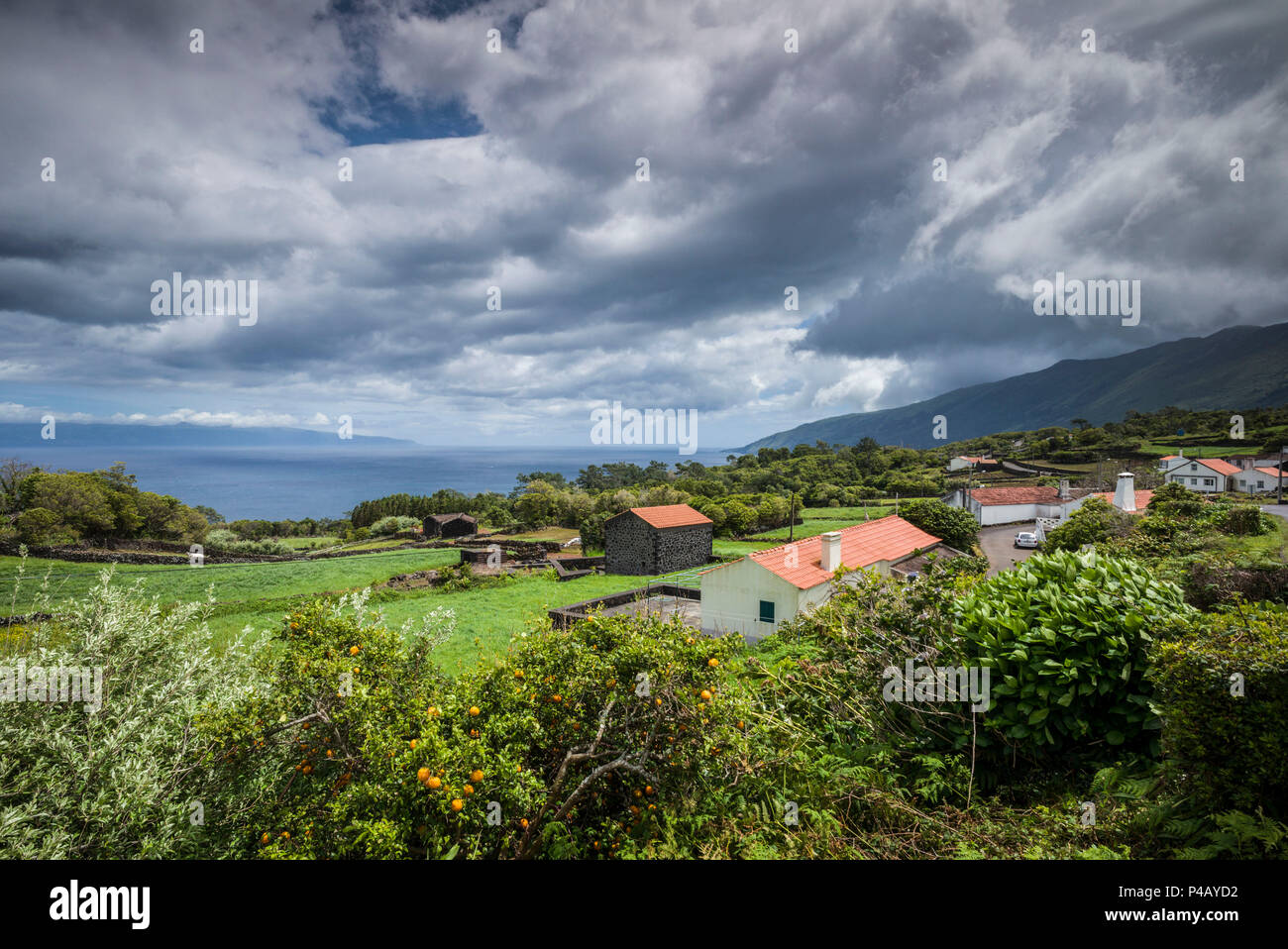 Portugal, Azores, Pico Island, Prainha, elevated town view Stock Photo ...