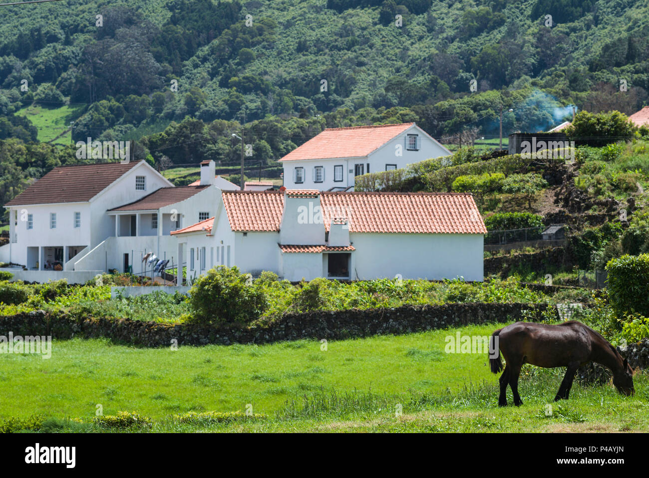 Prainha azores hi-res stock photography and images - Alamy