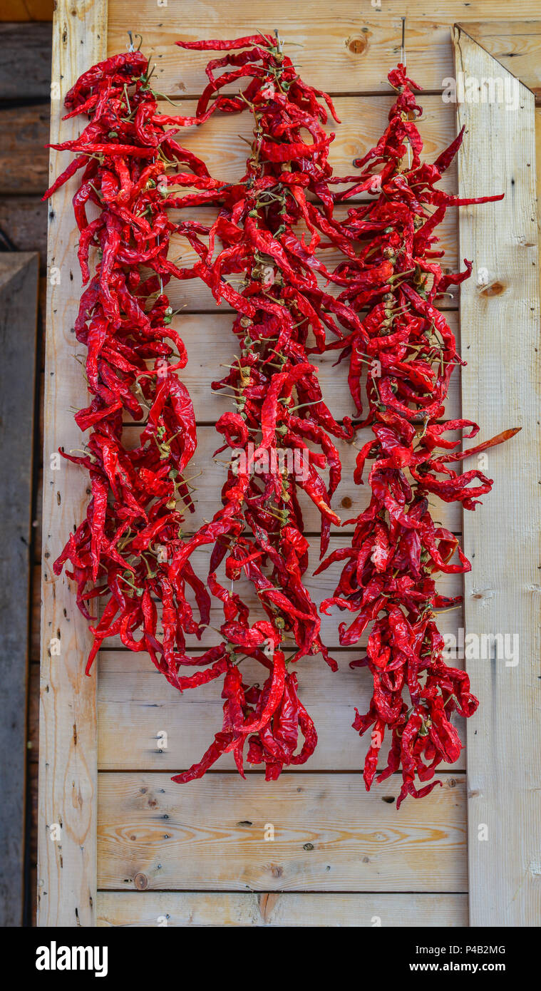 Hanging red chilli on wooden wall of rural house at winter in North of ...
