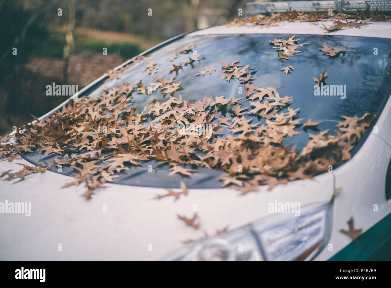 Police car window hi-res stock photography and images - Alamy