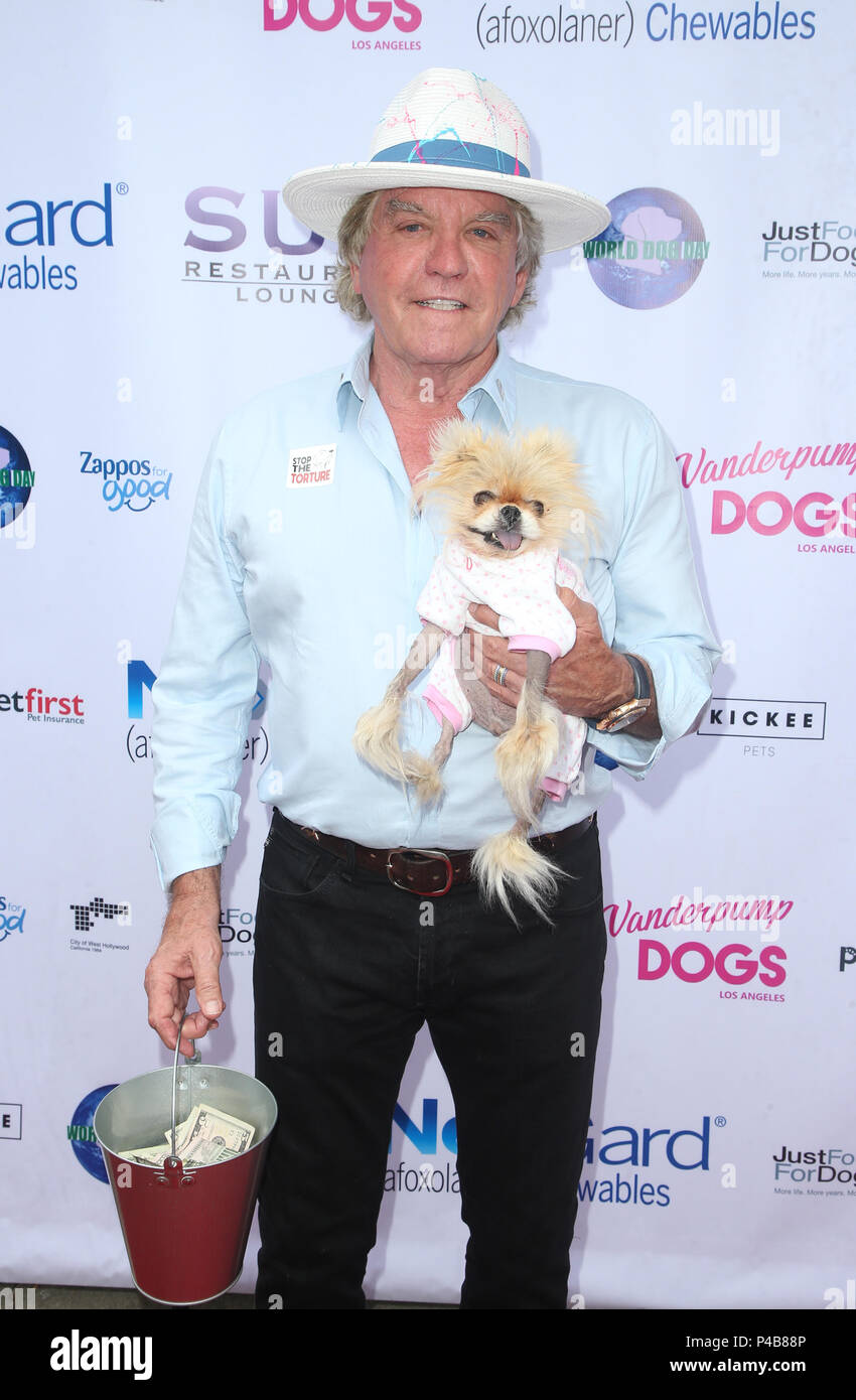 Lisa Vanderpump And The Vanderpump Dog Foundation's 3rd Annual World ...