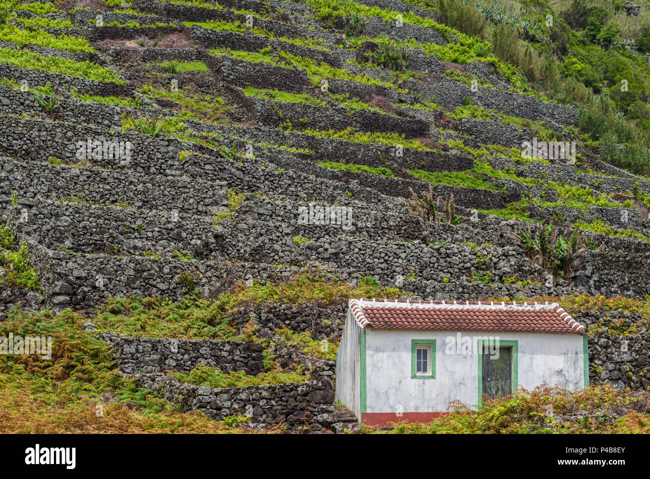 Portugal, Azores, Santa Maria Island, Maia, elevated view of town and ...
