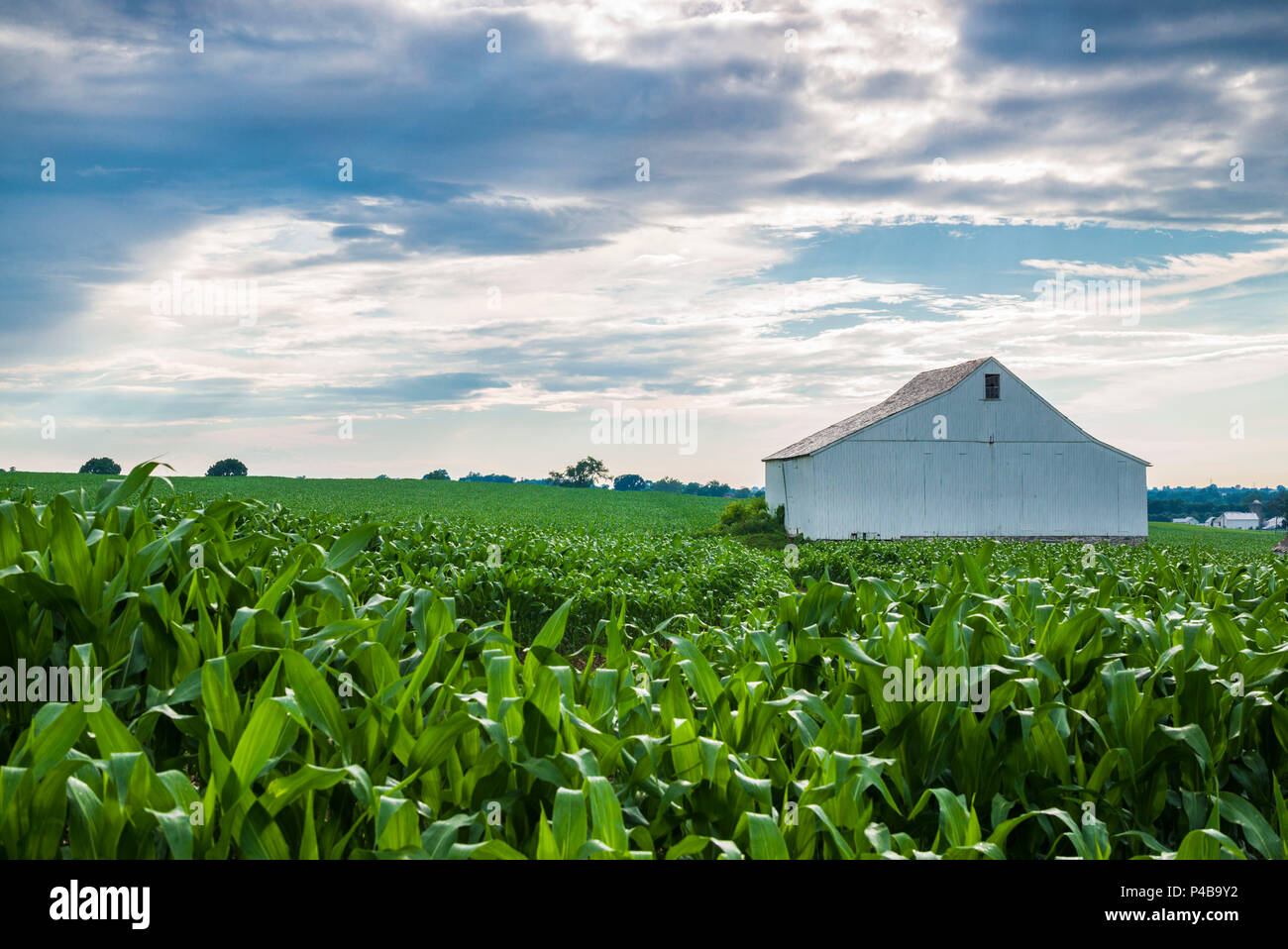 Pennsylvania dutch country hi-res stock photography and images - Alamy