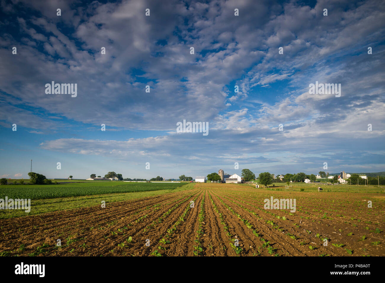 Pennsylvania Dutch Country High Resolution Stock Photography and Images ...