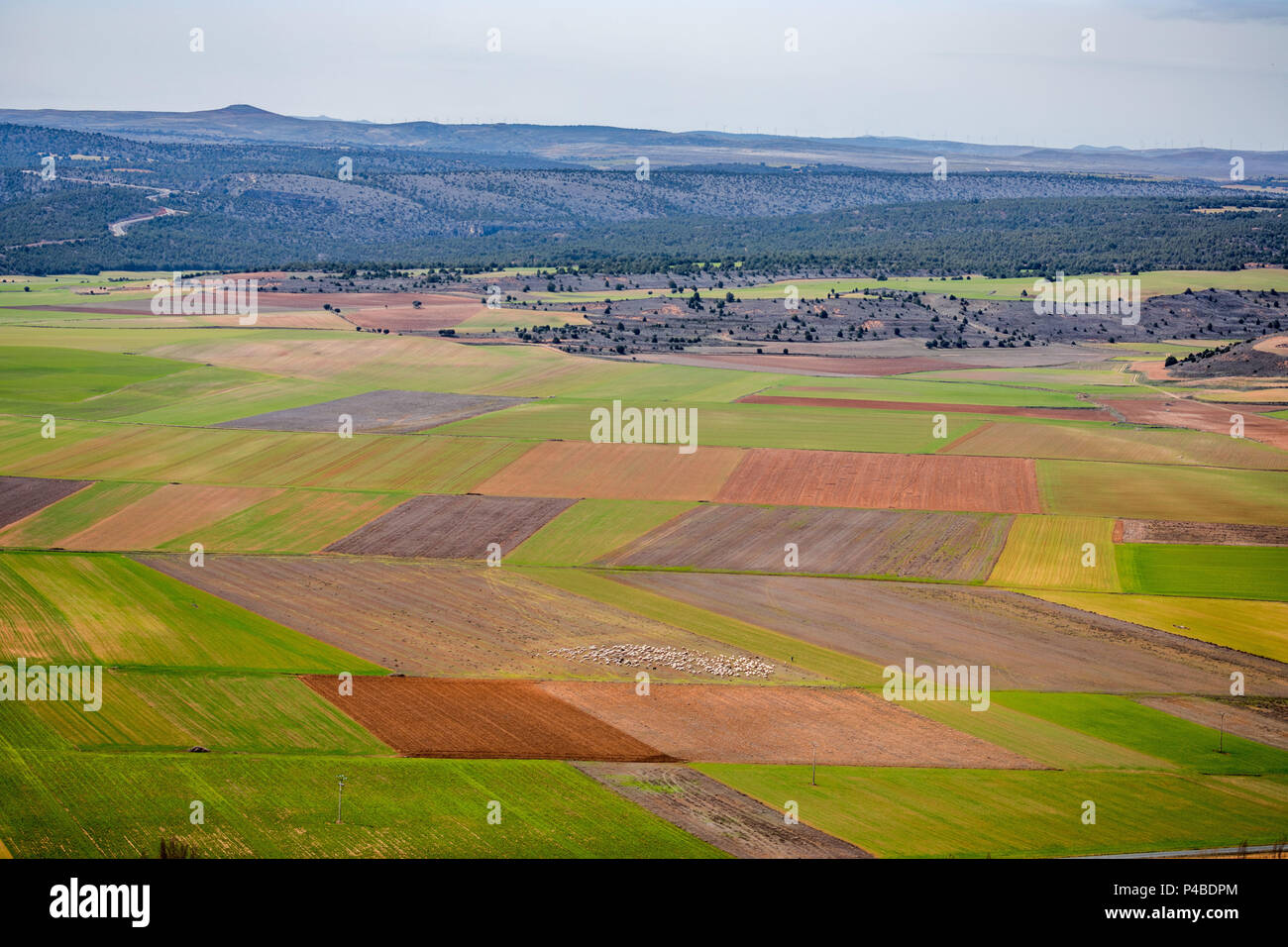 Soria see hi-res stock photography and images - Alamy