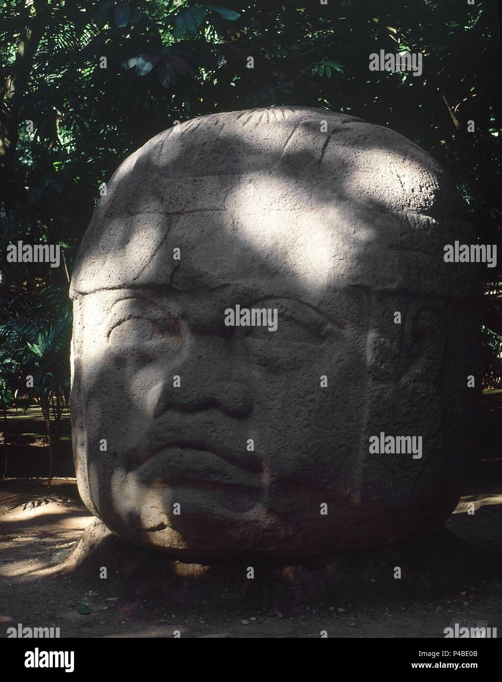 Olmeca head mexico museum hi-res stock photography and images - Alamy