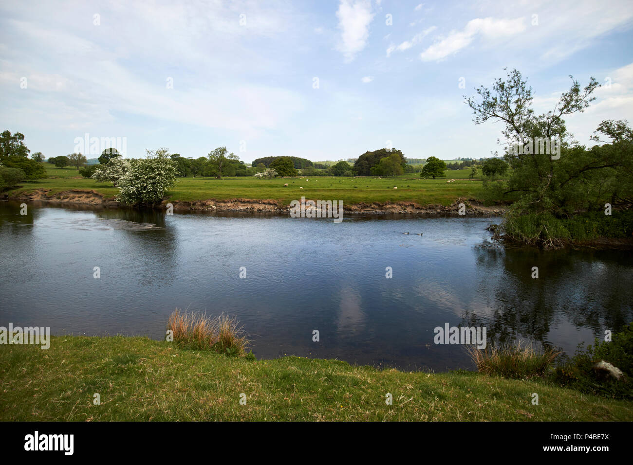 The river derwent flowing through the lake district approaching ...