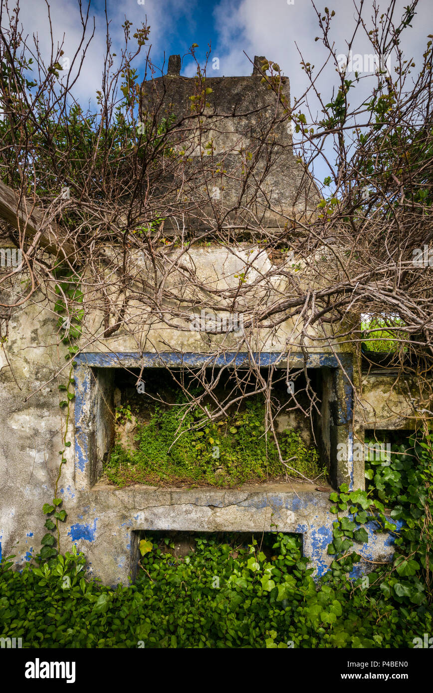 Portugal, Azores, Faial Island, Norte Pequeno, ruins of building ...
