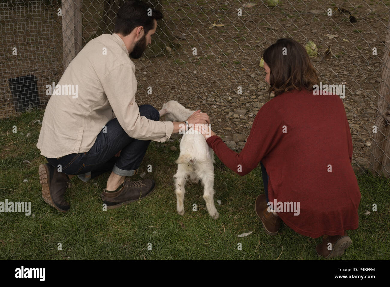Young man feeding goat hi-res stock photography and images - Alamy