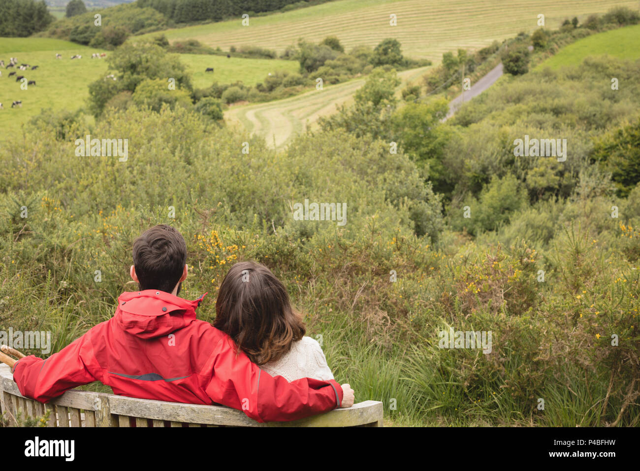 Rear view sitting love hi-res stock photography and images - Alamy