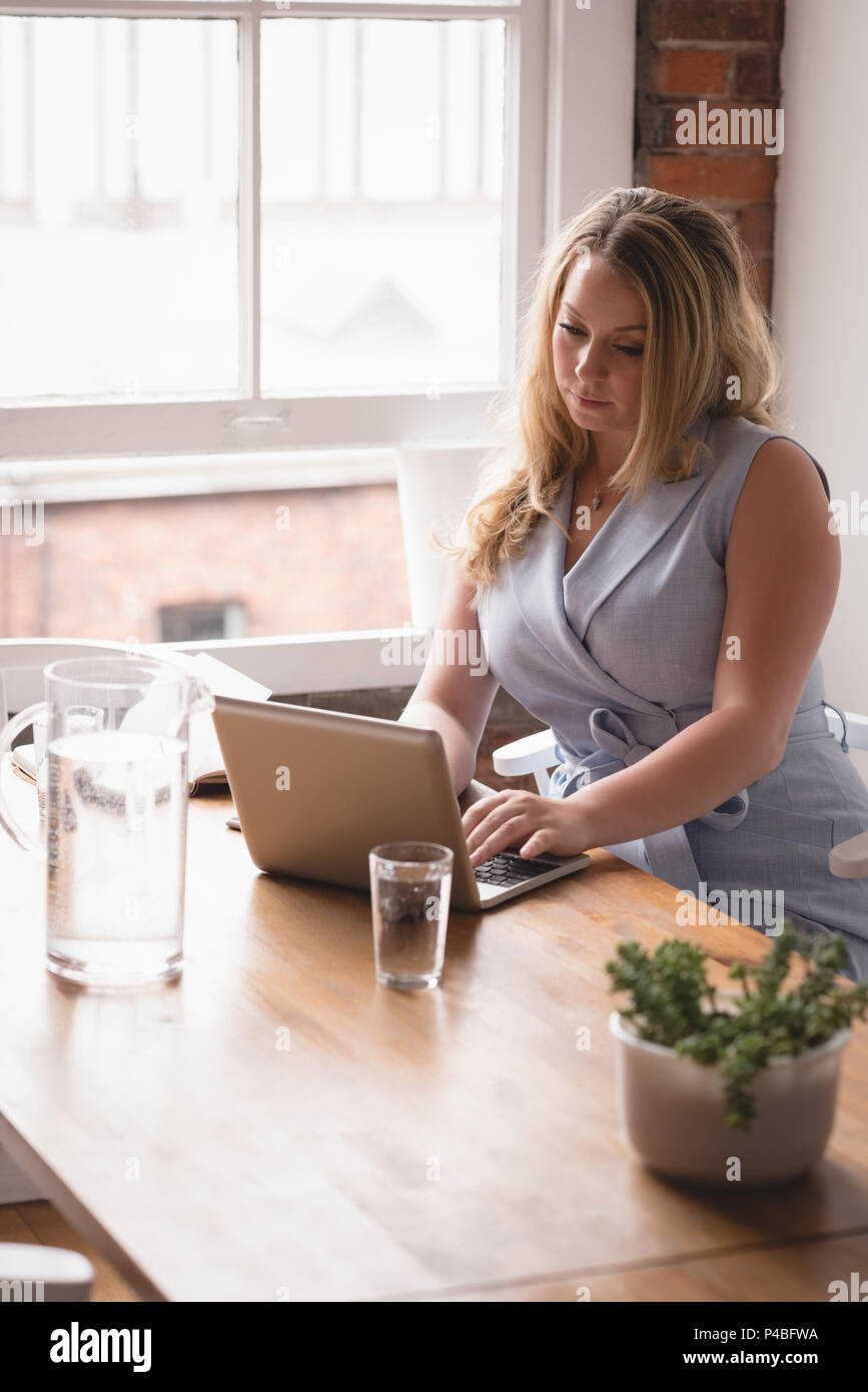 Female executive using laptop Stock Photo - Alamy