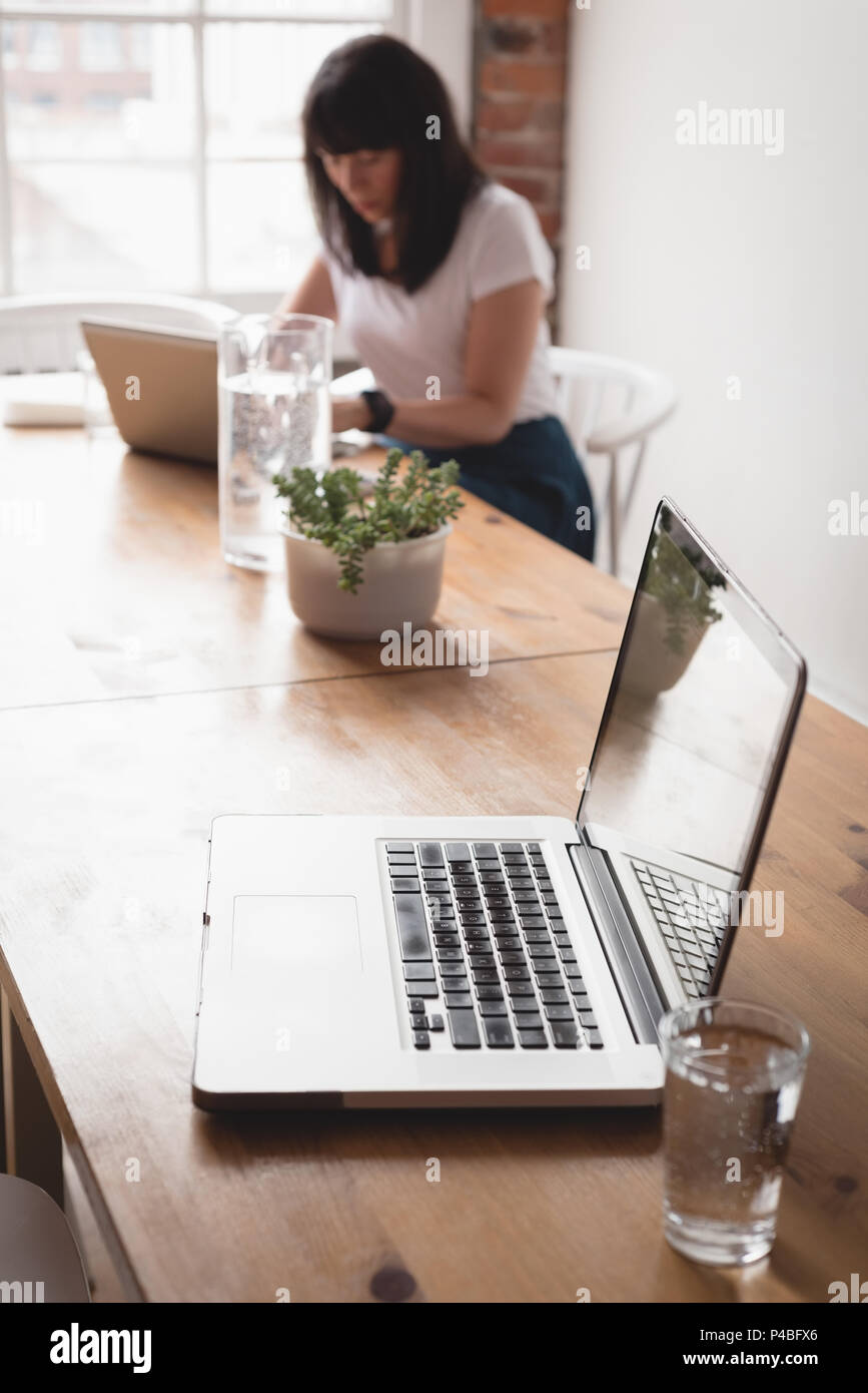 Female executive using laptop Stock Photo - Alamy