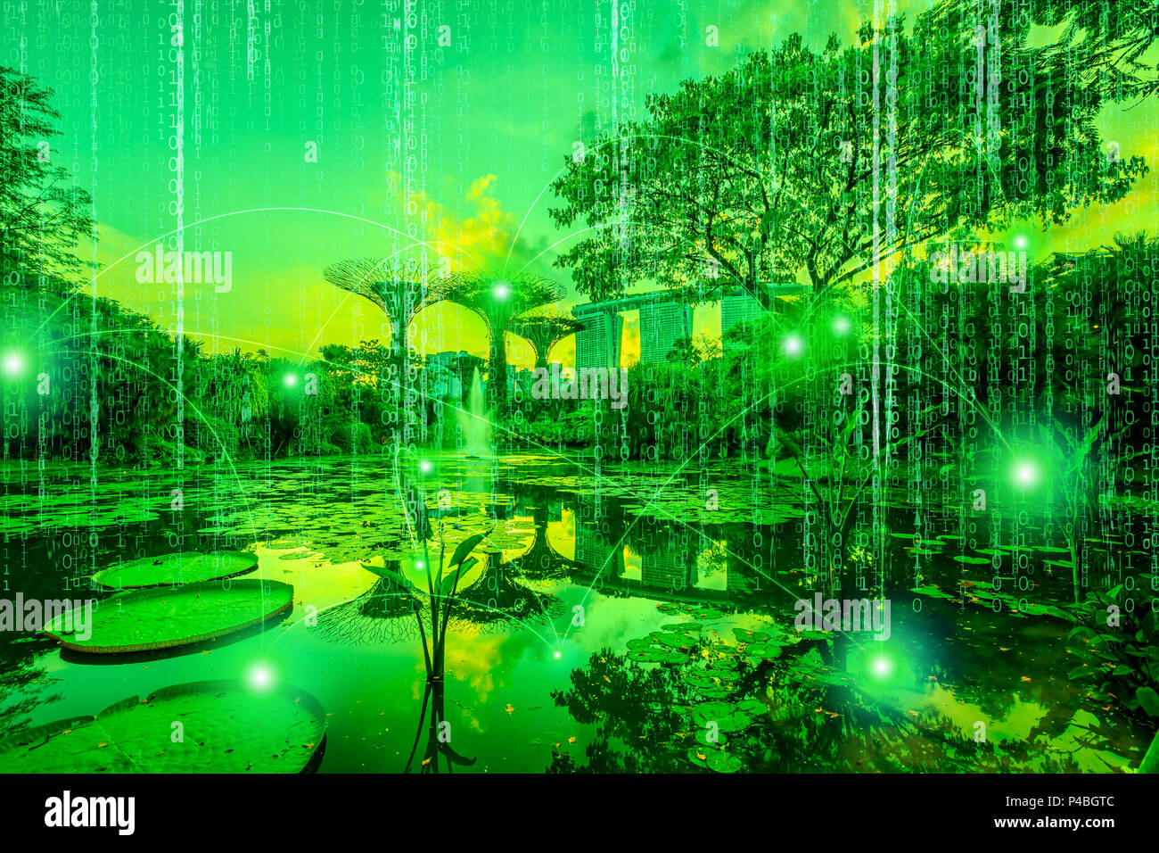 Internet matrix hi-res stock photography and images - Alamy
