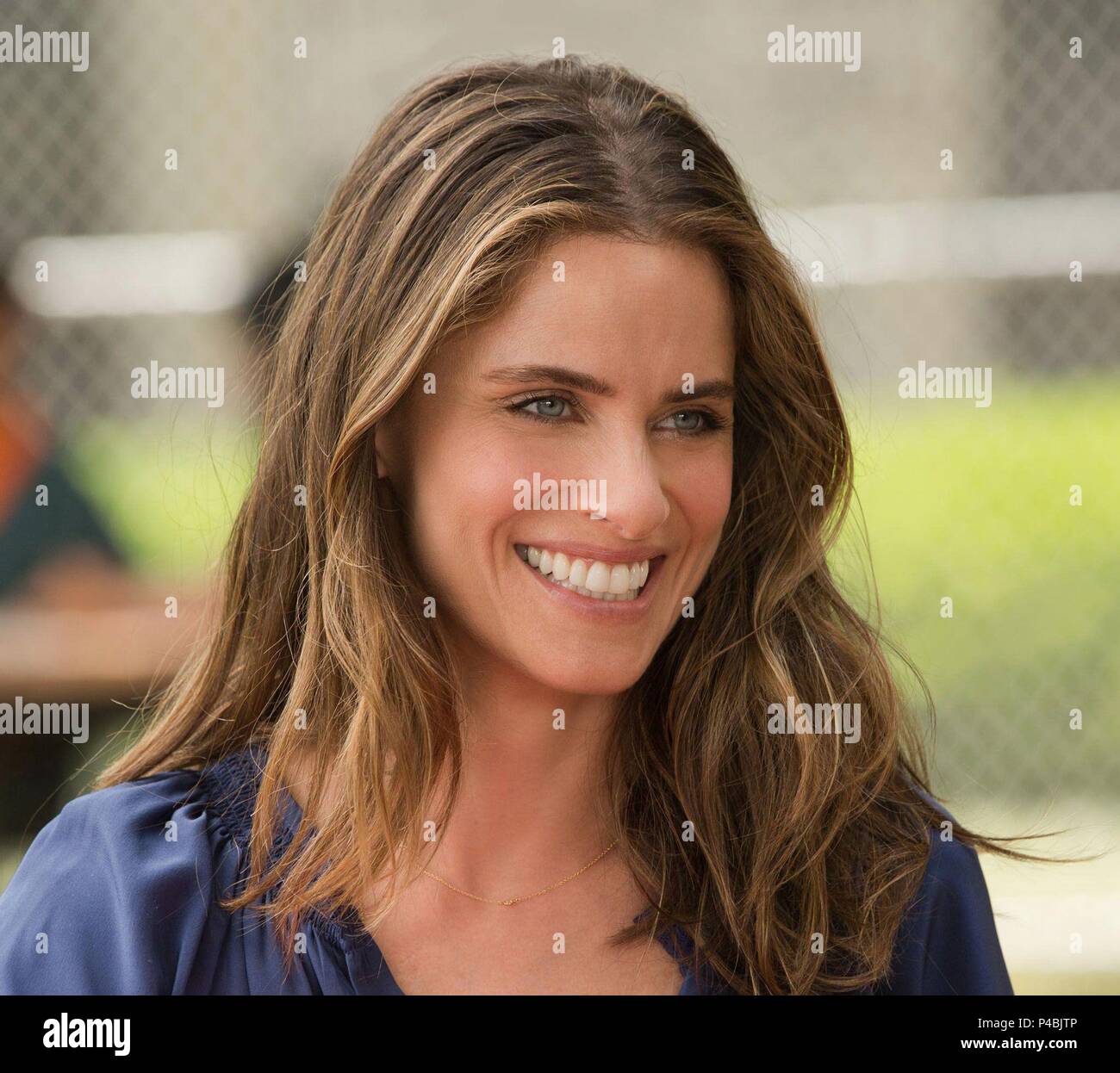 Identity thief (2013) hi-res stock photography and images - Alamy