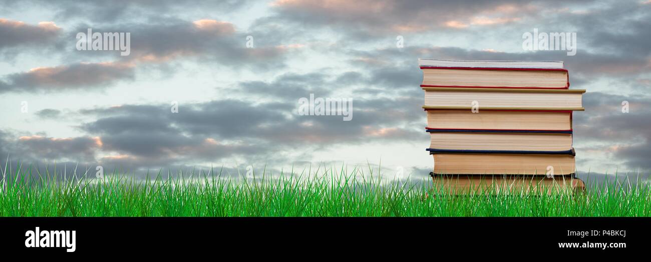 Cut image field hi-res stock photography and images - Alamy