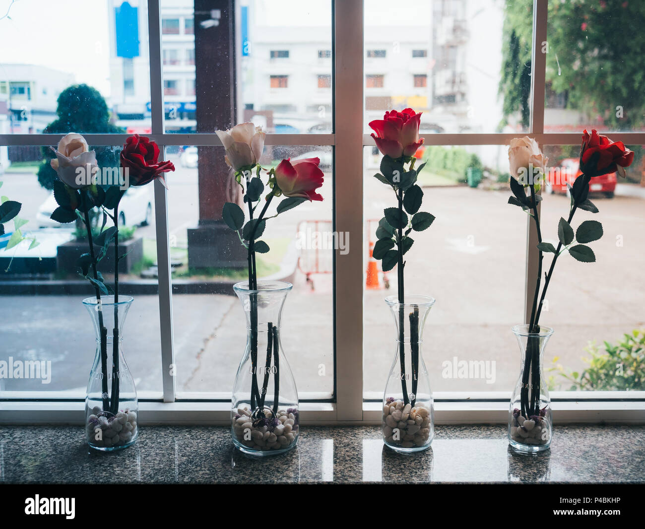 White rose and red rose on window Stock Photo - Alamy