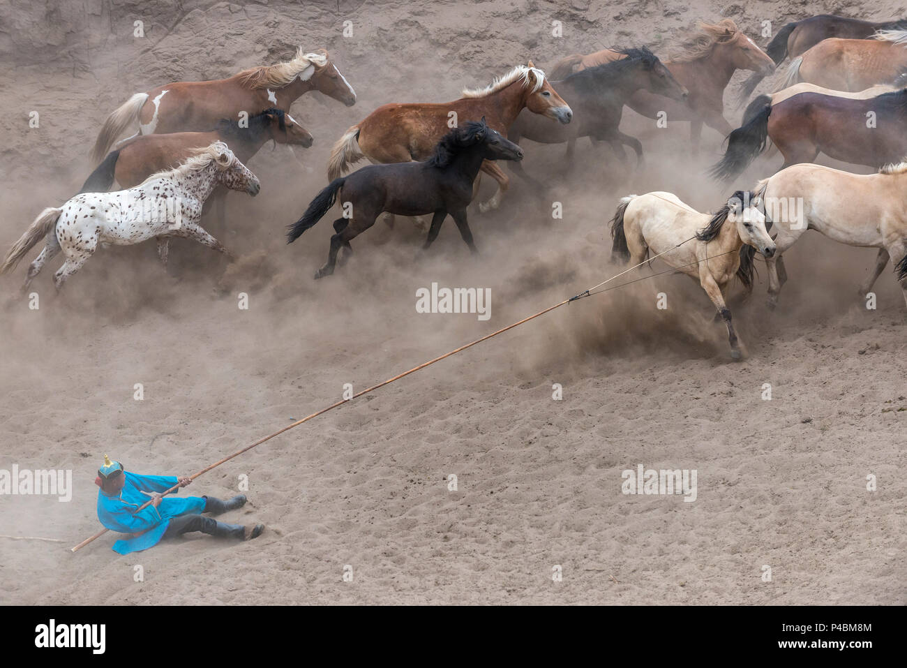 Horsemen dressed in traditional costume holds rope & pole urga or lasso ...