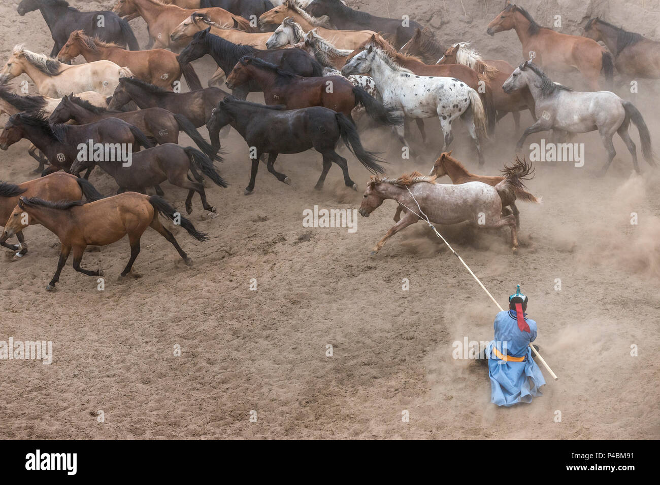 Horsemen dressed in traditional costume holds rope & pole urga or lasso ...