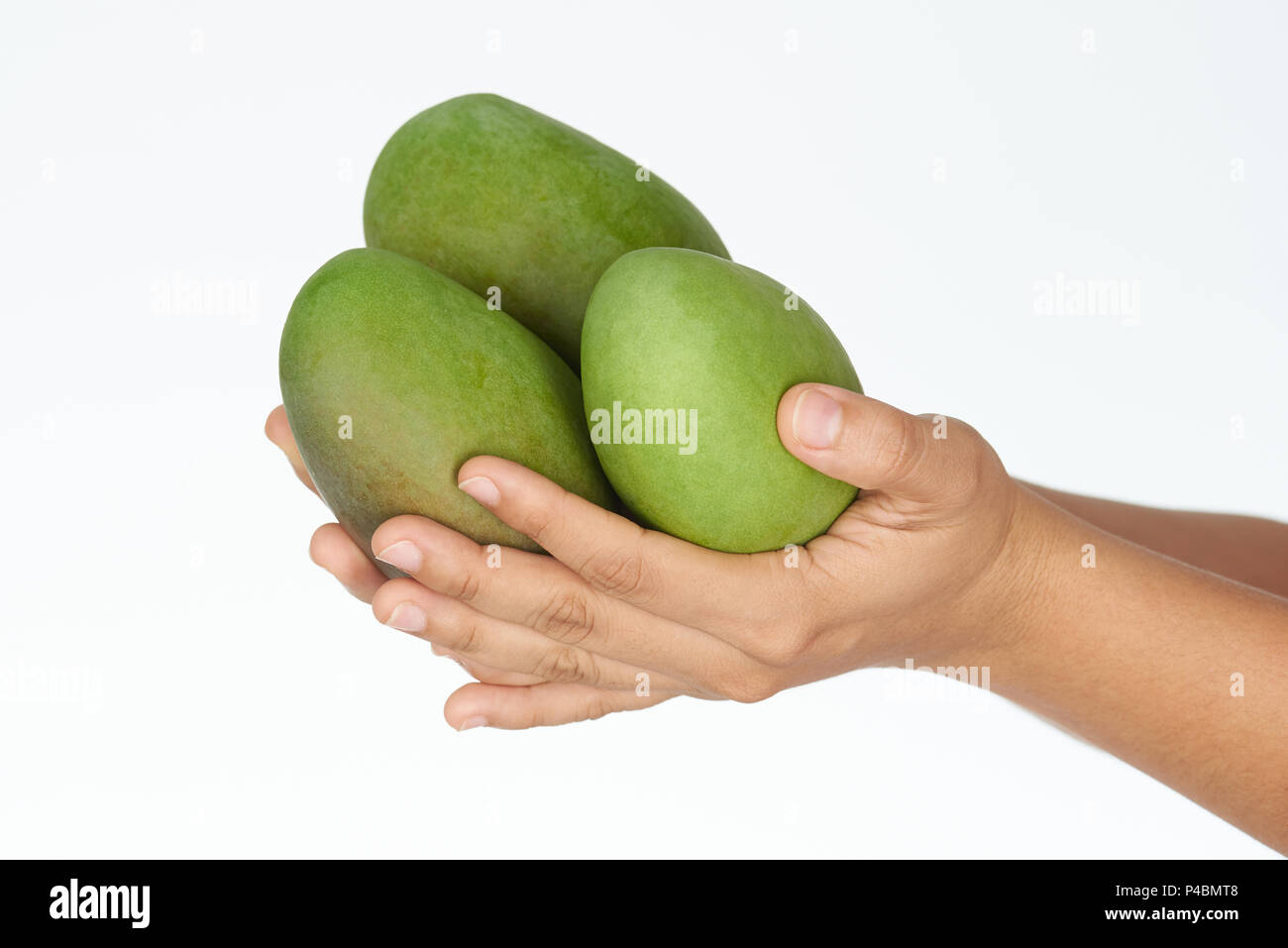 Green mangoes in hands isolated on white background Stock Photo - Alamy