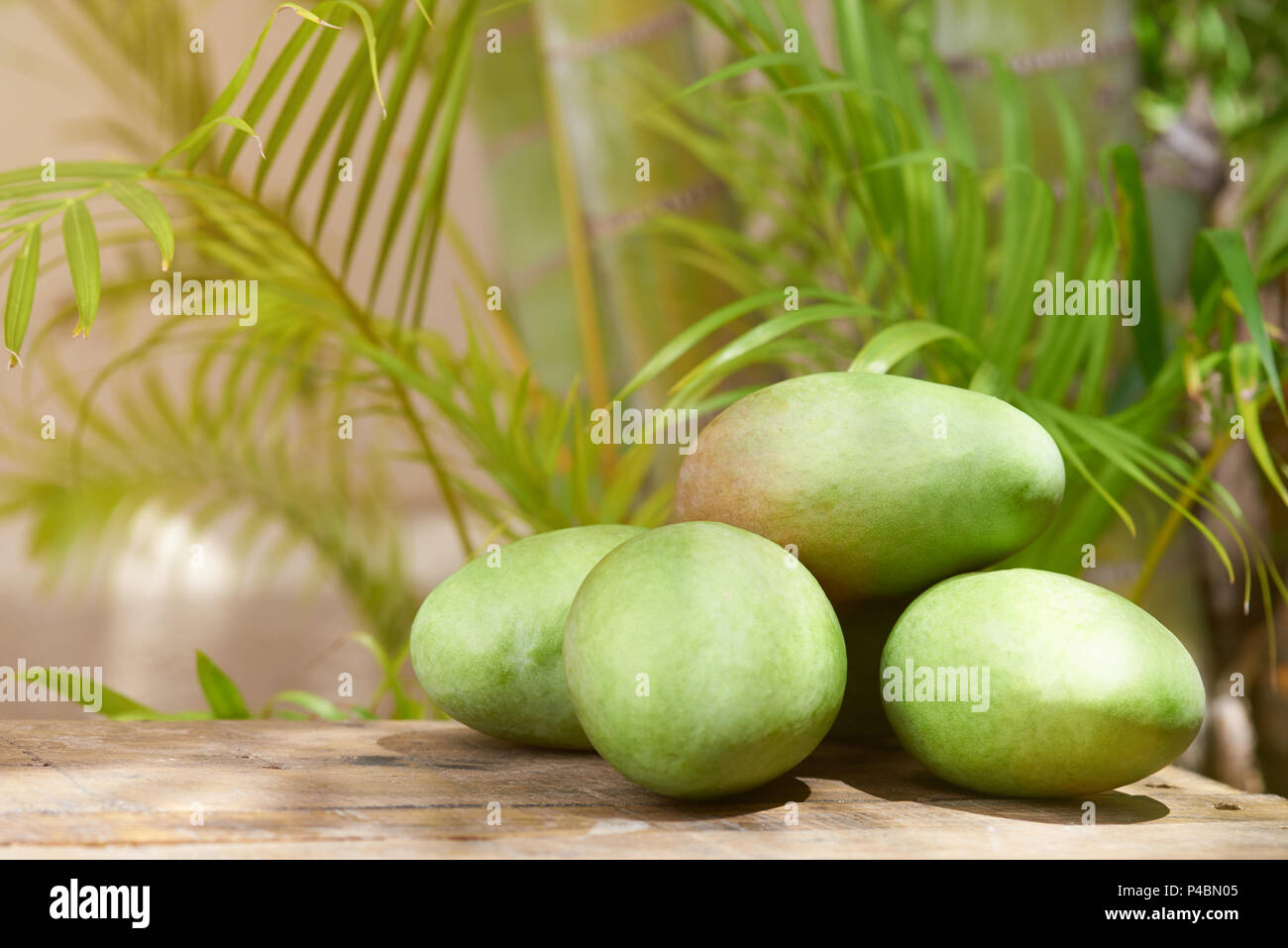 Mango farm theme. Group of colorful mangoes on wooden table Stock Photo ...